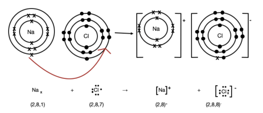 Ionic Formulae & Diagrams (GCSE Chemistry) - Study Mind