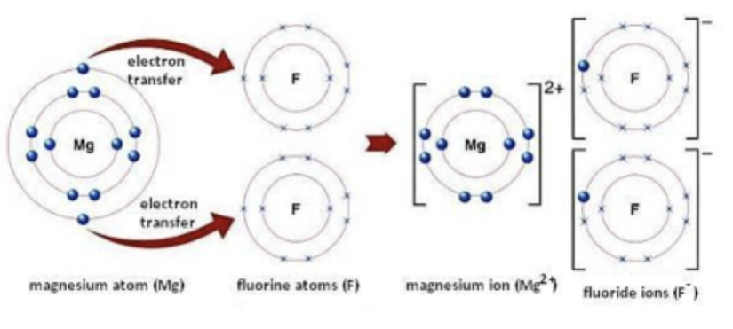 Ionic Compounds (GCSE Chemistry) - Study Mind