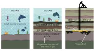 Formation & Contents of Crude Oil (GCSE Chemistry) - Study Mind