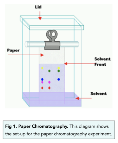 Chromatography and Rf Values (GCSE Chemistry) - Study Mind