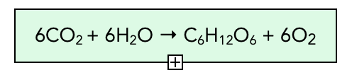Atmospheric Oxygen (GCSE Chemistry) - Study Mind