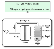 Haber Process (GCSE Chemistry) - Study Mind