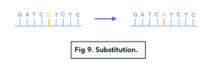 DNA - Mutations (GCSE Biology) - Study Mind