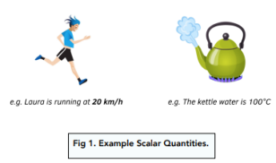 Forces - 5.1.1 Scalar and Vector Quantities (GCSE Physics AQA) - Study Mind