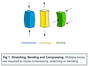 Forces - 5.3 Forces and Elasticity (GCSE Physics AQA) - Study Mind