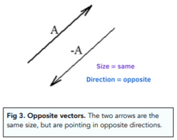 Forces - 5.1.1 Scalar and Vector Quantities (GCSE Physics AQA) - Study Mind