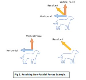 Forces - 5.1.4 Resultant Forces (GCSE Physics AQA) - Study Mind