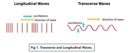 Waves - 6.1.1 Transverse and Longitudinal Waves (GCSE Physics AQA ...