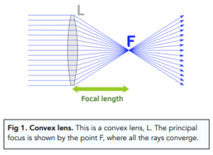Waves - 6.2.5 Lenses (Physics Only) (GCSE Physics AQA) - Study Mind
