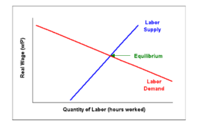 Wage Determination -A-Level Economics - Study Mind