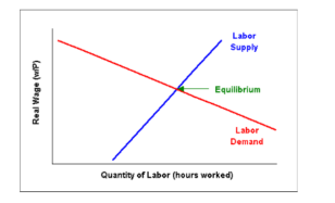Wage Determination -A-Level Economics - Study Mind